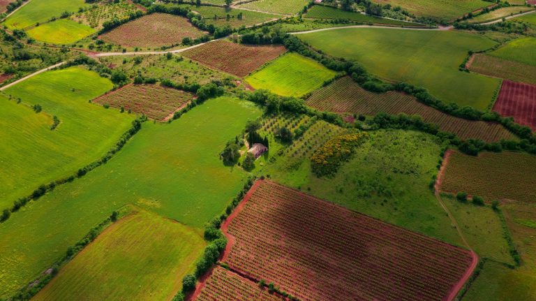 What is the percentage of land area on Earth? – My Web Stats