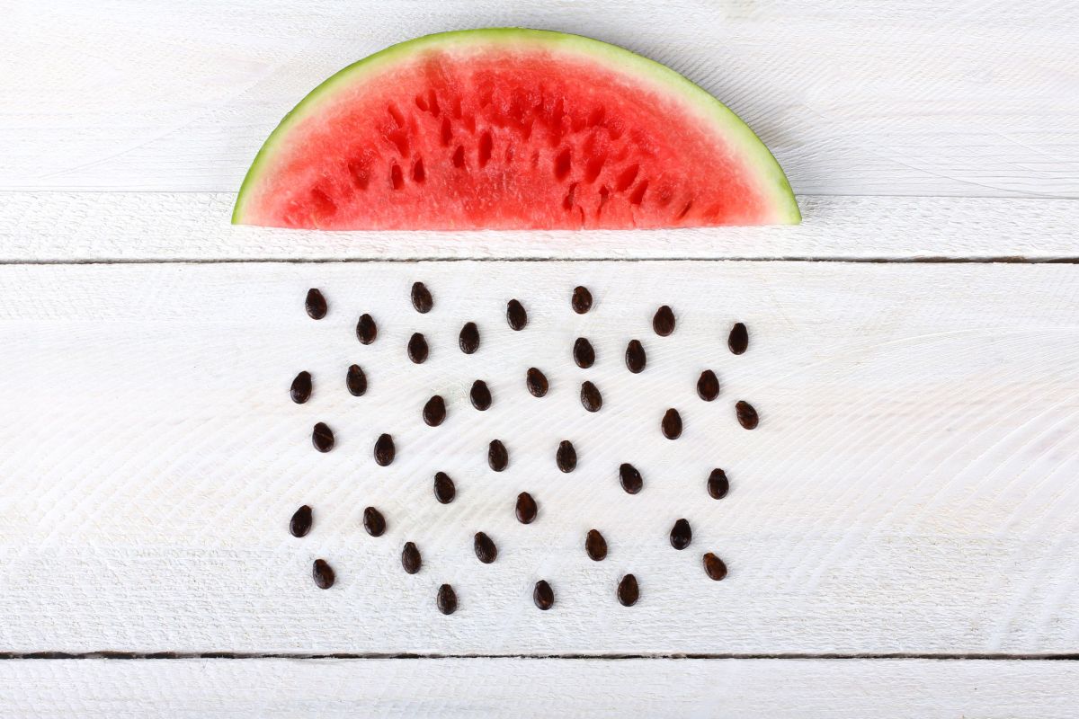 19 Hydrating Foods Rich in Water Content to Keep You Refreshed – MyWebStats