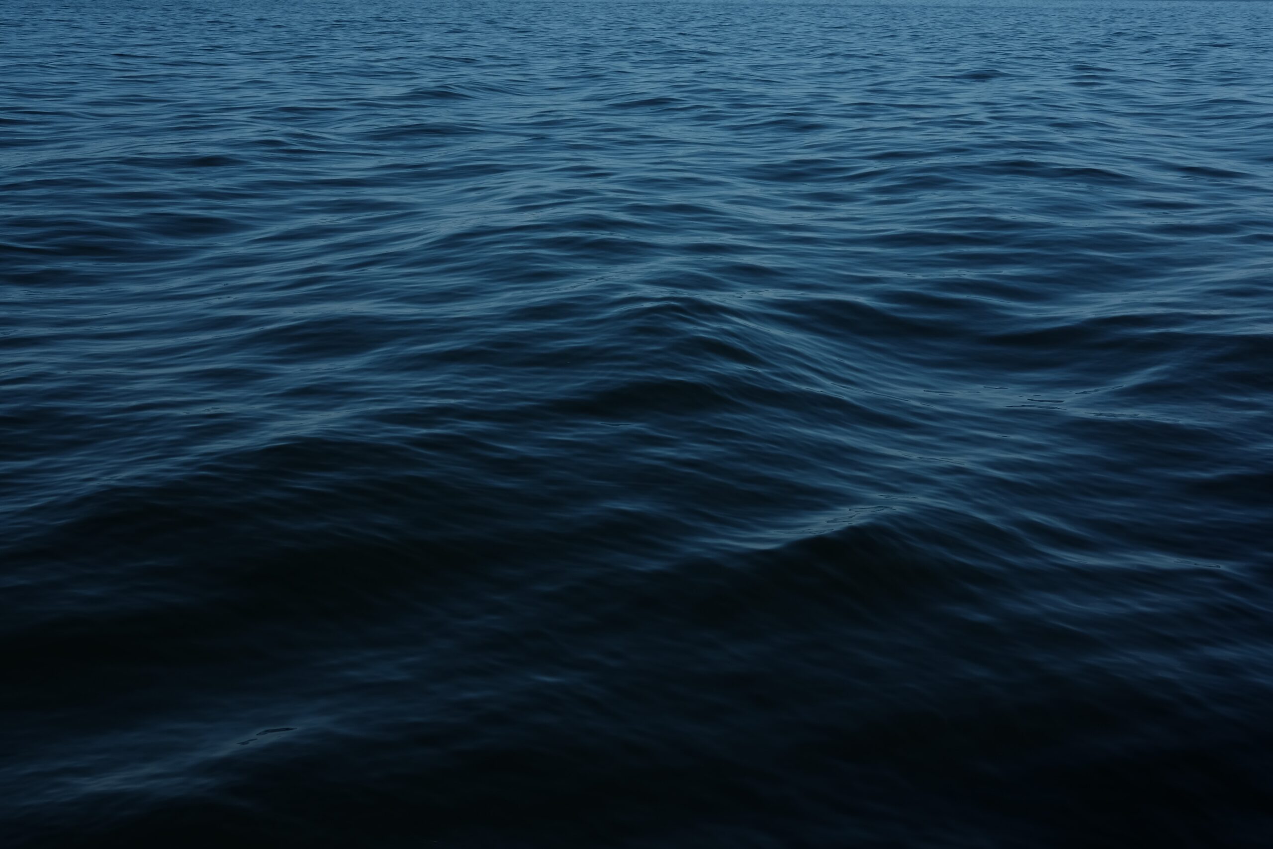 What percentage of the world’s oceans have been explored? – My Web Stats